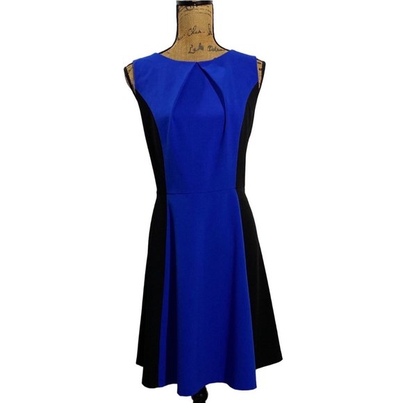 Alyx | Dresses | Alyx Dress 4 Black Royal Blue Color Block A Line Pleat ...